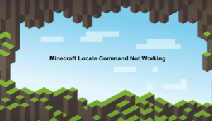 Minecraft Locate Command Not Working: 4 Fixes - West Games