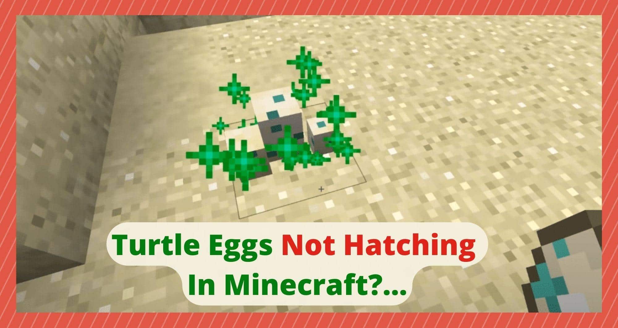 3 Things To Do If Turtle Eggs Not Hatching In Minecraft West Games