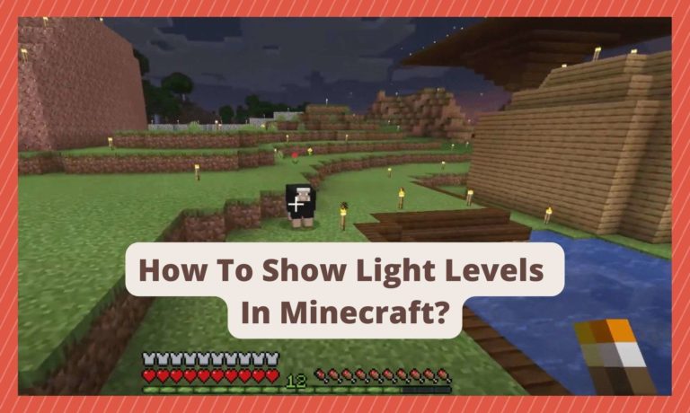 How To Show Light Levels In Minecraft? - West Games